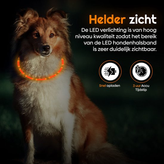 LED Halsband Hond - Lichtgevende Halsband Hond - Oranje - 20-70 cm ...