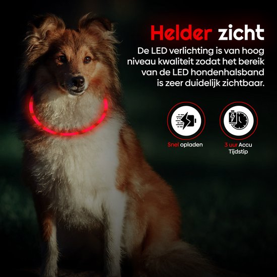 LED Halsband Hond - Lichtgevende Halsband Hond - Rood - XL - USB ...