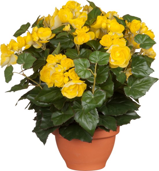 Gele Begonia kunstplant met bloemen 37 cm in terracotta pot ...