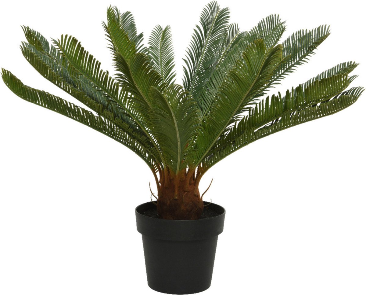 Groene Varenpalm kunstplanten 60 cm in zwarte pot - Kunstplanten ...