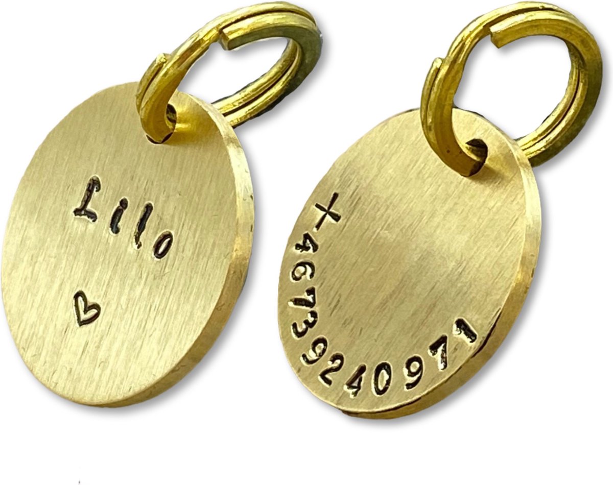 Hondenpenning rond cirkel, Messing Goud, Inclusief graveren Diameter 25 ...