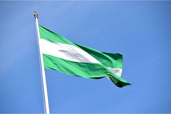 Rotterdam Vlag 70x100cm | bol.com