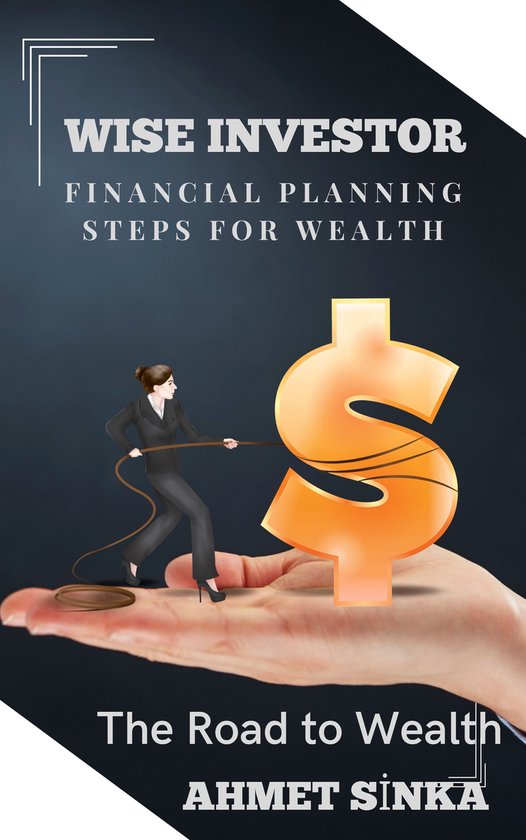 WISE INVESTOR (ebook), Ahmet Sinka | 1230006595364 | Boeken | bol