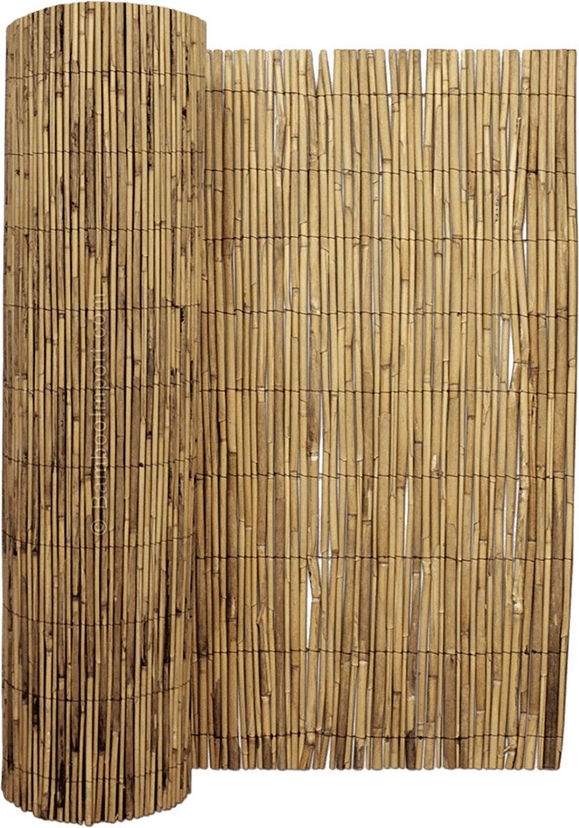 Riet mat 600 x 160 - extra dik op rol 600 x 160cm - naturel - budget ...