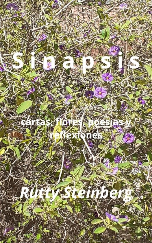 Sinapsis (ebook), Rutty Steinberg | 9781667458175 | Boeken | bol