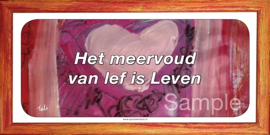 Het meervoud van lef is leven | bol