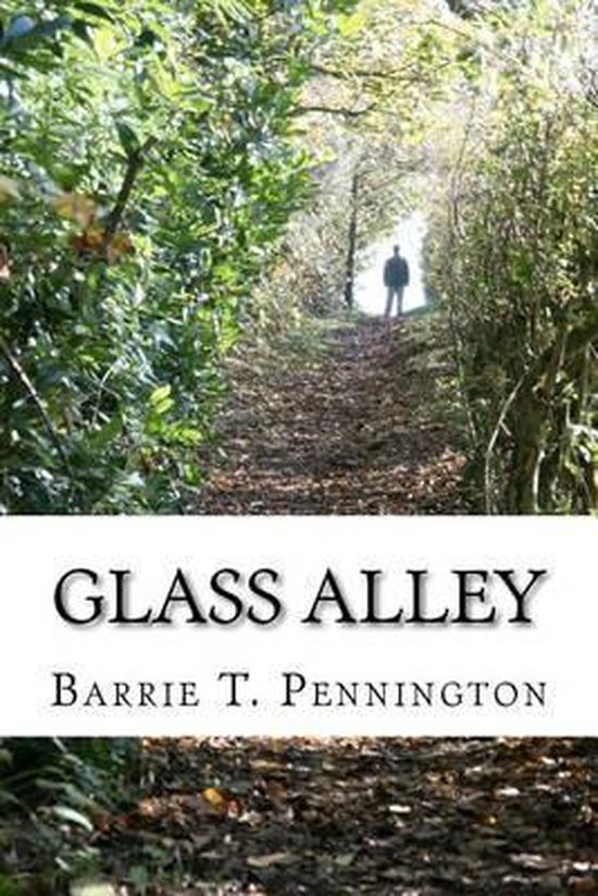 Glass Alley, Barrie T. Pennington | 9781470029043 | Boeken | bol.com