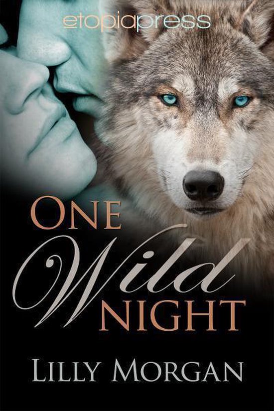 Wild Nights 1 - One Wild Night (ebook), Lilly Morgan | 9781936751822 ...