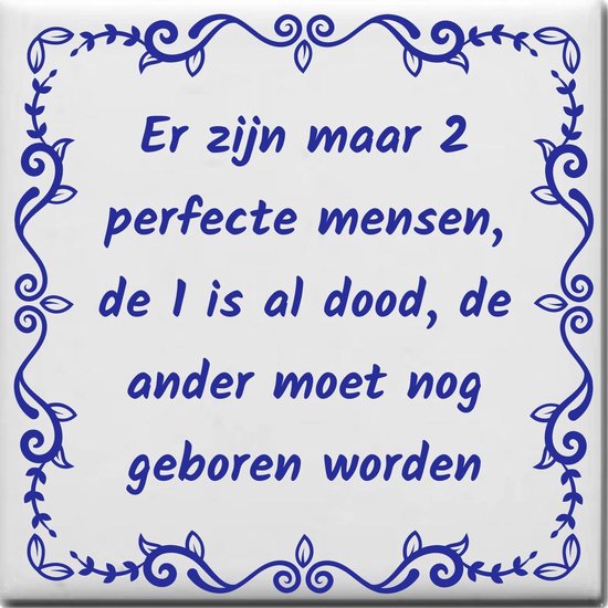 Wijsheden tegeltje met spreuk over Overig: Er zijn maar 2 perfecte mensen de 1 is al... | bol