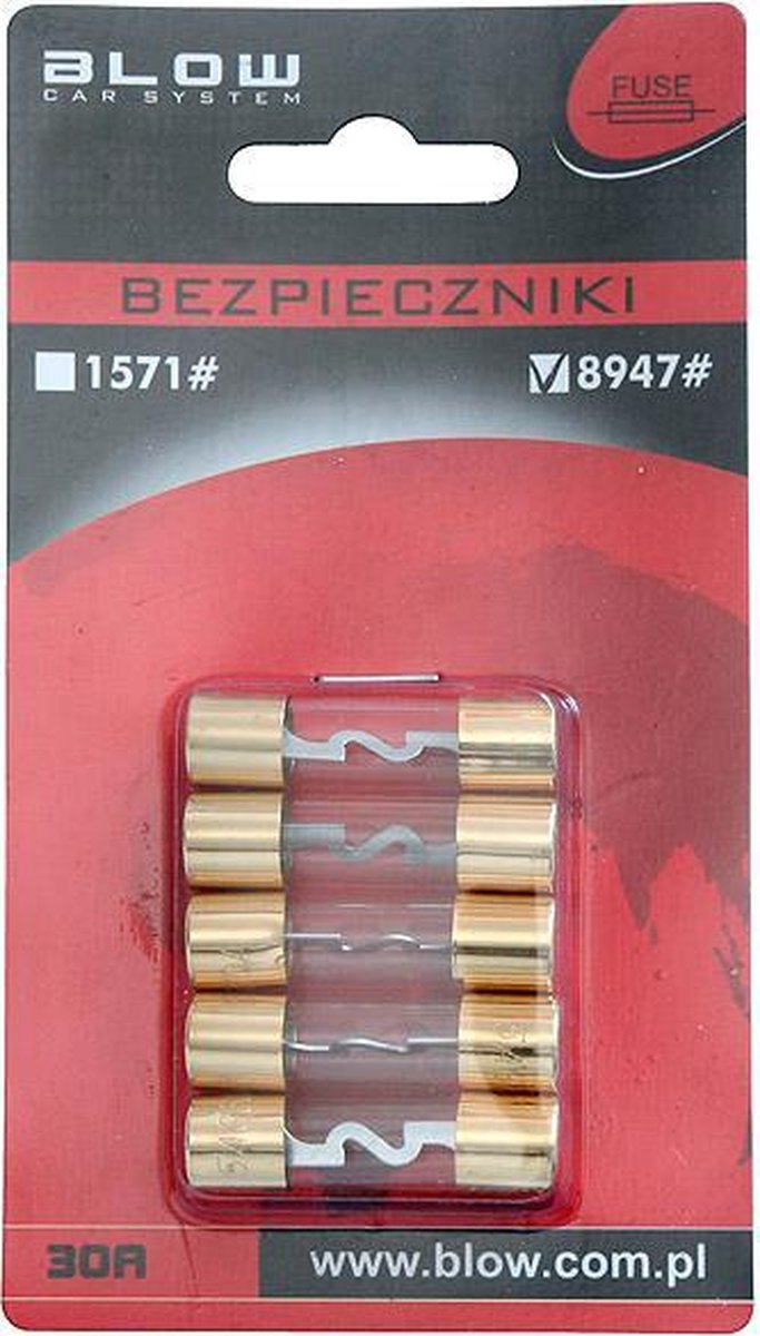 Glaszekering 30A - 4 stuks | bol
