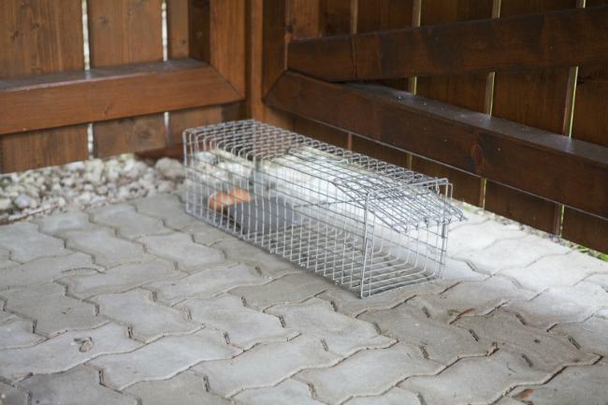 Vangkooi-Marterval of rattenval | bol