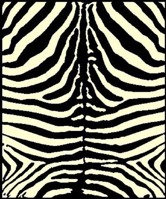 Ikado Modern tapijt met zebra motief 120 x 170 cm | bol.com