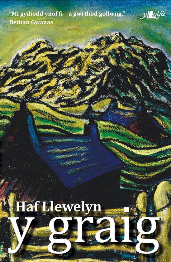 Y Graig (ebook), Haf Llewelyn | 9781847715791 | Boeken | bol.com