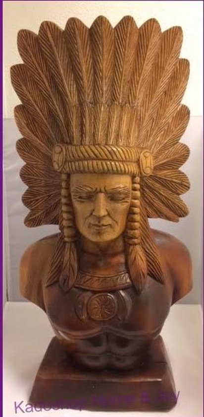 Indianen hoofd | bol