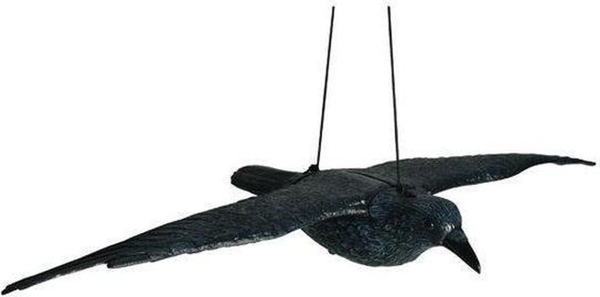 Vogelverschrikker ''Zwarte Raaf'' | bol