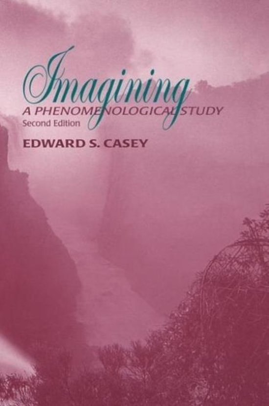 Imagining | 9780253214157 | Edward S Casey | Boeken | bol.com