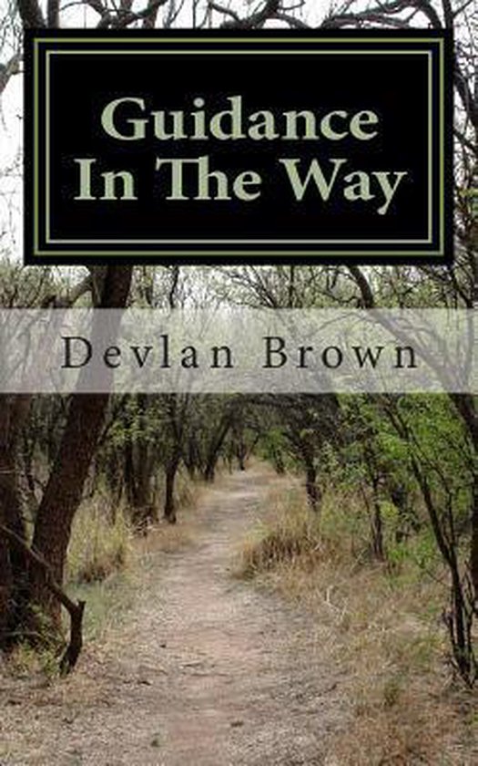 Guidance in the Way, Devlan Brown | 9781494852795 | Boeken | bol.com