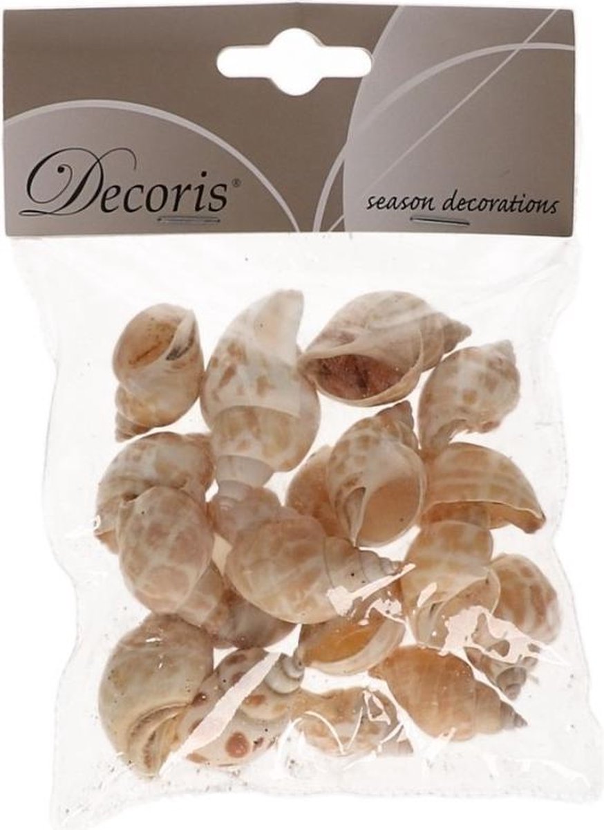 Puntige decoratie schelpen Strombus Canarium 4 cm - Natuurlijke ...