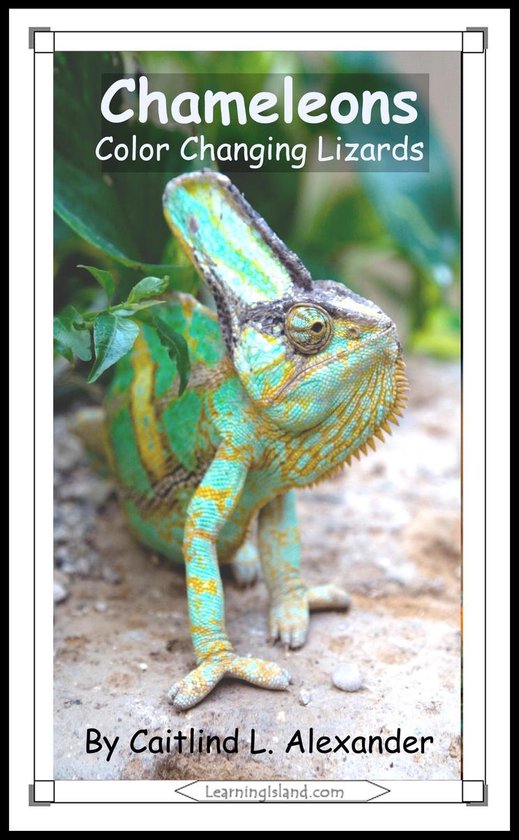 15-Minute Books - Chameleons: Color Changing Lizards (ebook), Caitlind ...