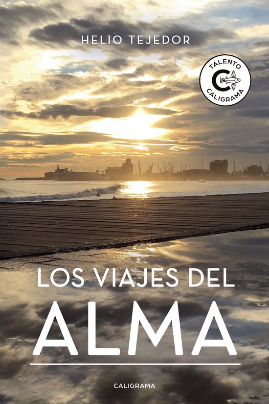 Los viajes del alma (ebook), Helio Tejedor | 9788417856649 | Boeken ...