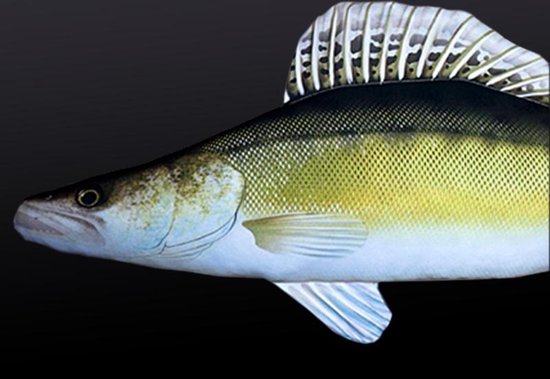 bol.com | Gaby - Snoekbaars Kussen - Zwart - Knuffel