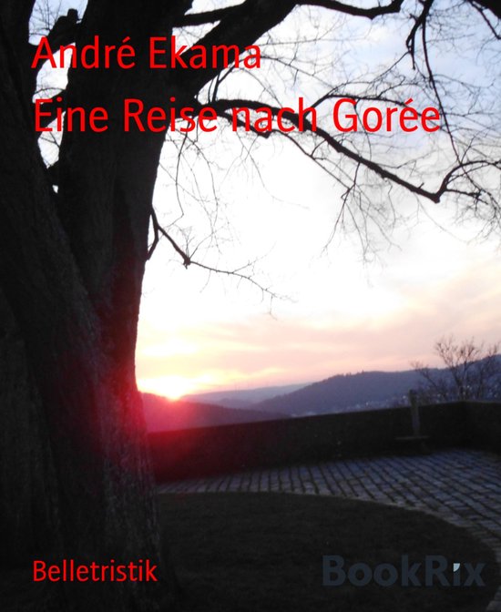 Eine Reise nach Gorée (ebook), Andre Ekama | 9783736828384 | Boeken ...