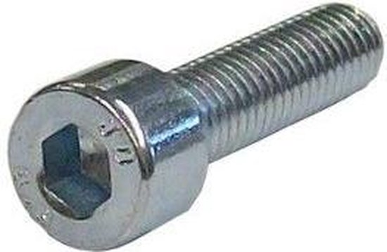 INBUSBOUTEN M8 40 MM VERZINKT 2 ST. | bol