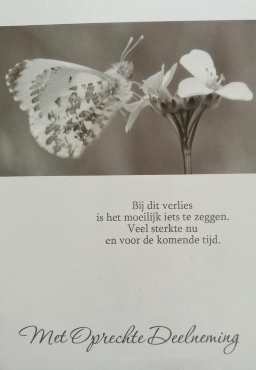 Rouwkaarten Condoleance kaarten Set van 10 L-025 | bol.com