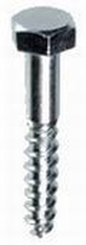 Intergard Houtdraadbout verzinkt DIN 571 8x120mm | bol.com