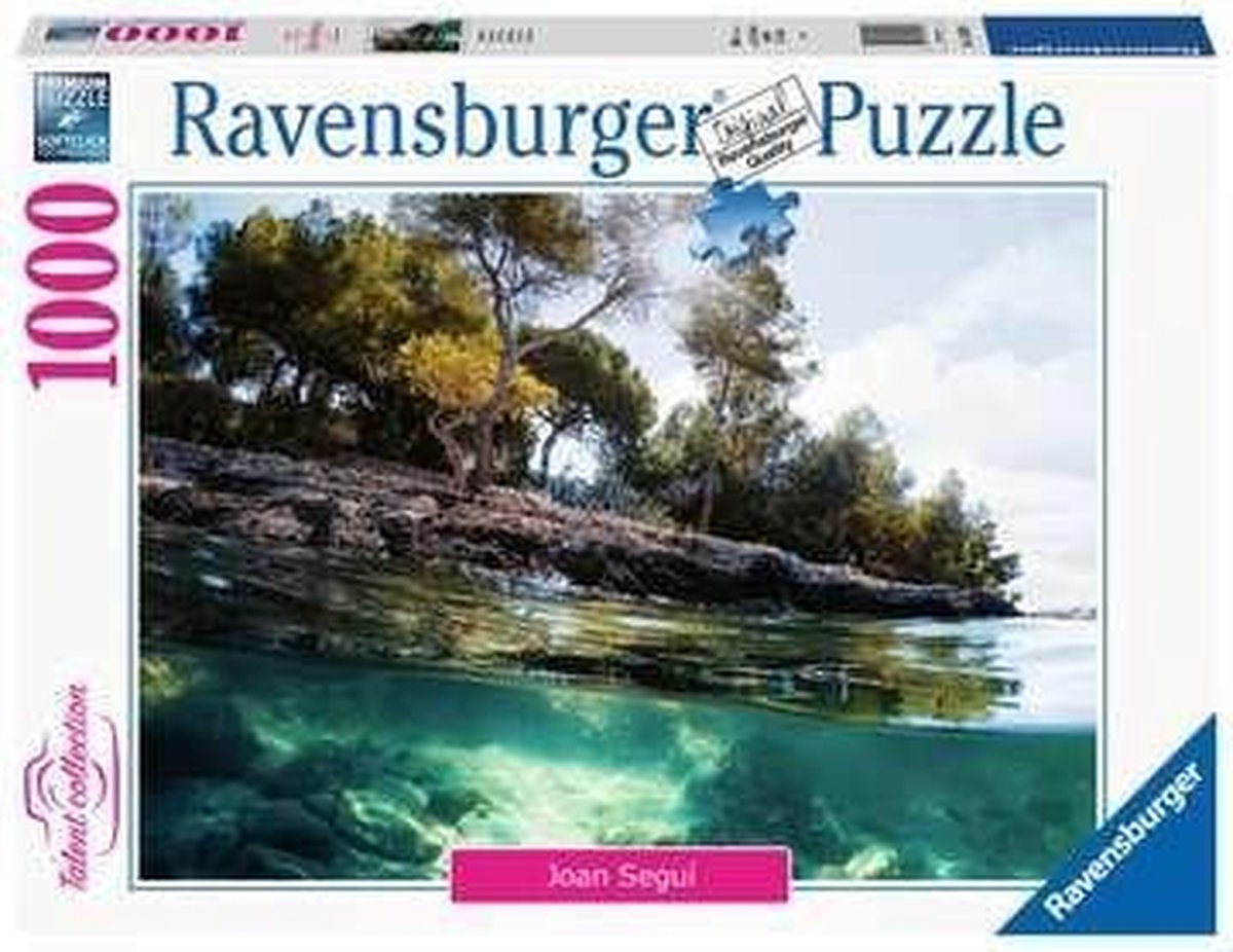 Ravensburger 16198 puzzel Legpuzzel 1000 stuk(s) Liggend | bol.com
