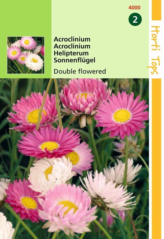 2 stuks Acroclinium Helipterum Roseum Dubbelbl. Gemengd | bol.com