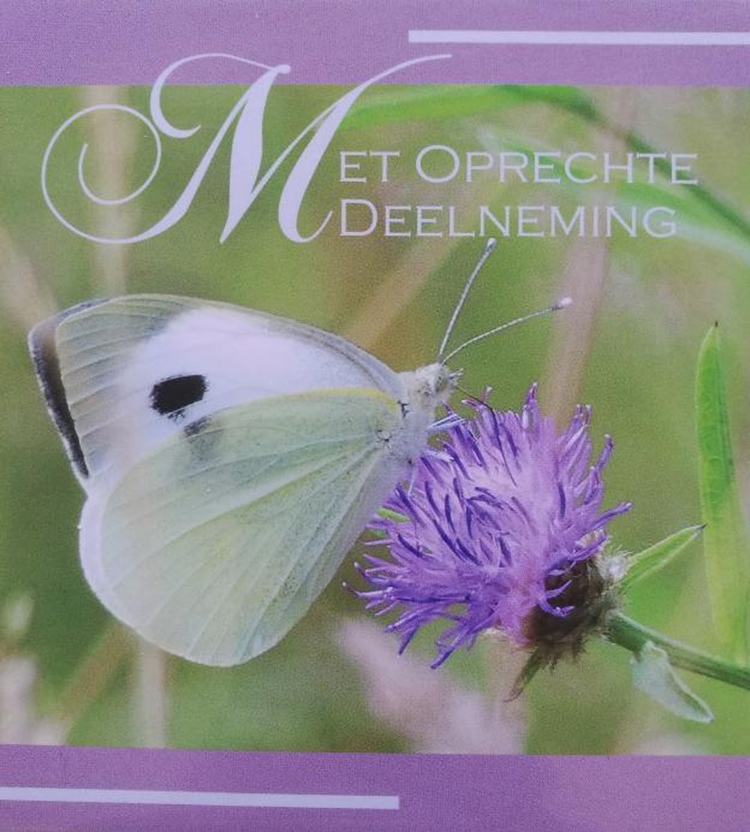 Condoleance kaarten Set van 20 Met en zonder tekst | bol.com