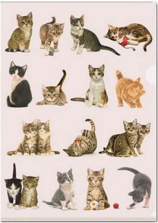 L-mapje A4 formaat: Franciens Katten, Francien van Westering | bol.com