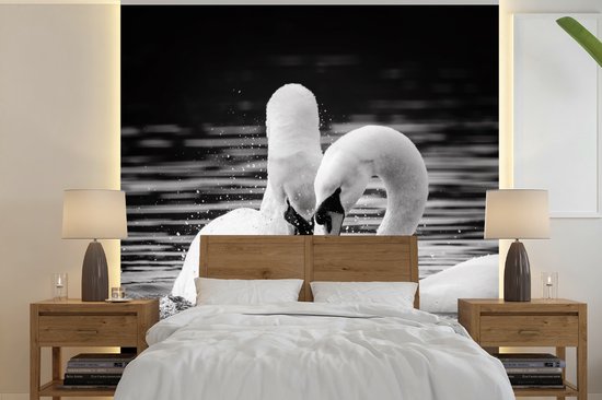 Behang - Fotobehang Twee witte zwanen in gevecht - Breedte 350 cm x ...