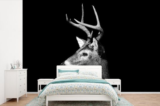 Behang - Fotobehang Hert - Portret - Zwart Wit - Breedte 420 cm x ...