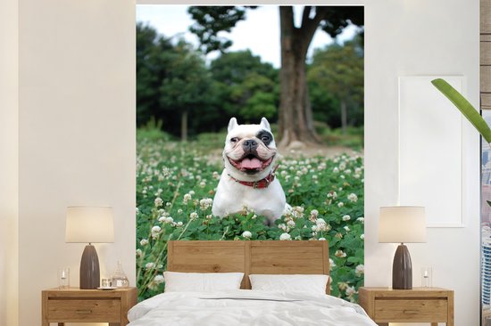 Behang - Fotobehang Dier - Klaver - Hond - Breedte 225 cm x hoogte 350 cm | bol