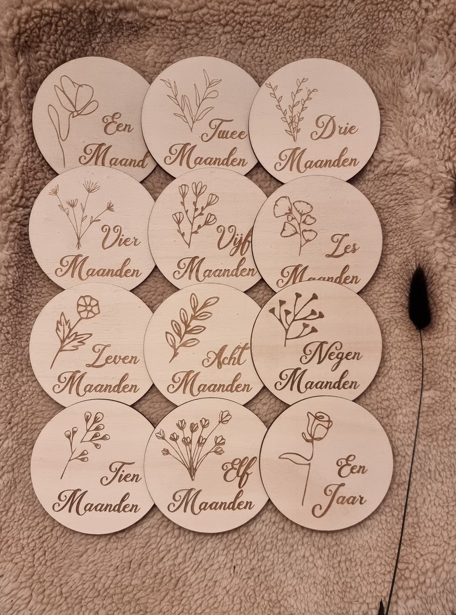 Mijlpaalkaarten - Mijlpaal schijven - Hout - 1 maand tm 1 jaar - Baby ...