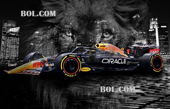 F1 RED BULL RACE CAR 30X20 CM, MUURPLAAT - VINTAGE - RETRO - HORECA ...