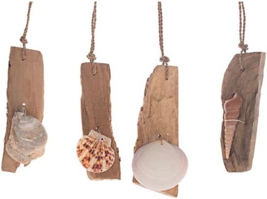 Maritiem (strand Artikelen) - Driftwood Hanger Large With Shell ...