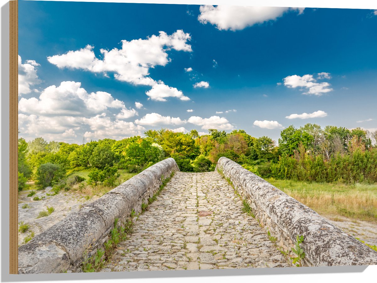 Hout - Stenen Brug over Kleine Rivier heen omringd door Natuur - 80x60 ...