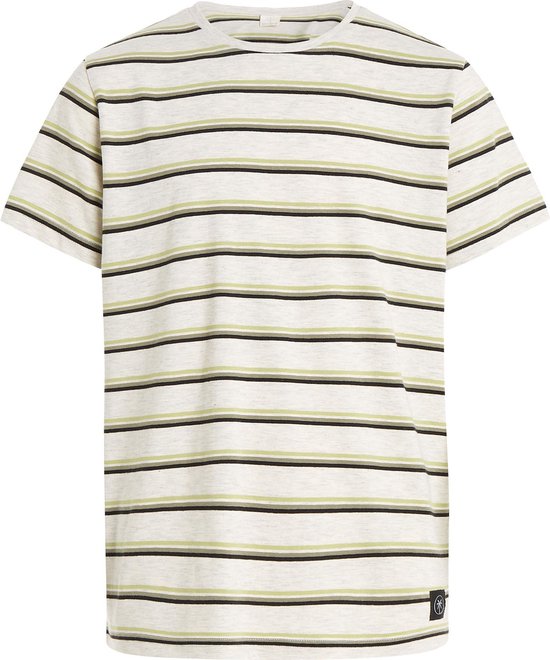 Protest Prtanton Jr t-shirt jongens - maat 176 | bol.com