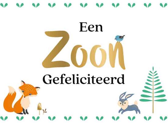 Wenskaart Daisy een zoon gefeliciteerd | bol.com