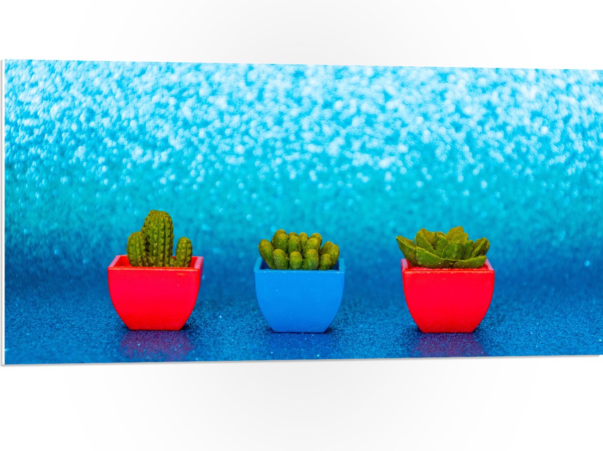 PVC Schuimplaat - Trio van Rode en Blauwe Vaasjes met Groene Vetplanten ...