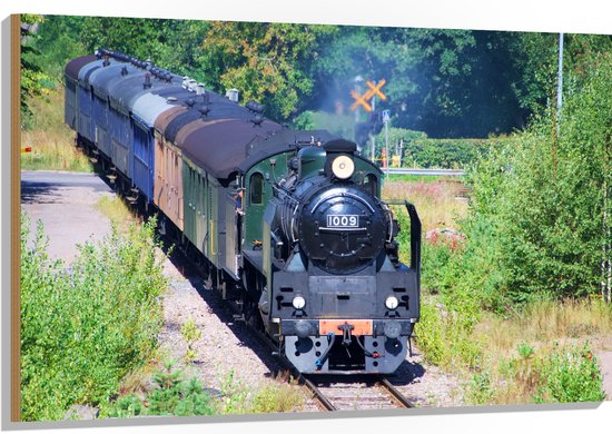 WallClassics - Hout - Trein tussen Struiken - 120x80 cm - 9 mm dik ...