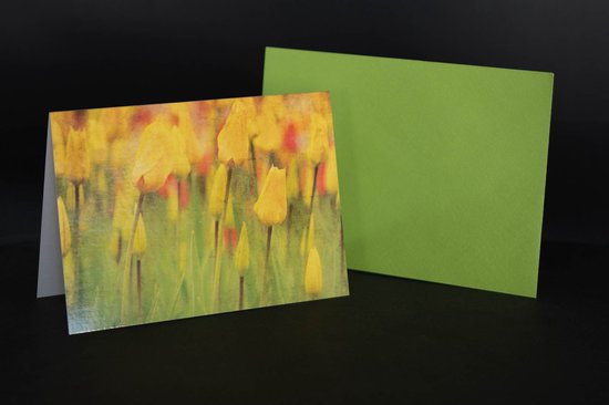 Set blanco gevouwen wenskaarten 10 stuks | bol