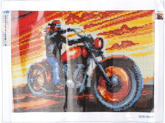 BWK Diamond Paintings - Motorrijder op Rode Motor - 40x30cm(35x25cm ...