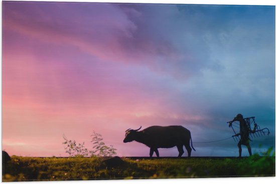 Vlag - Silhouet van Man werkend met Stier op het Land - 75x50 cm Foto ...