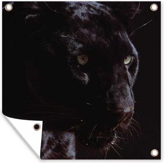 Tuin poster Panter - Dier - Zwart - 200x200 cm - Tuindoek ...