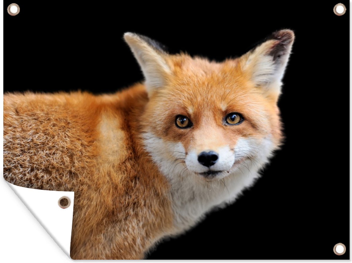 Muurdecoratie buiten Vos - Dier - Portret - 160x120 cm | bol.com