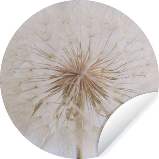 WallCircle - Muurstickers - Behangcirkel - Bloemen - Paardenbloem - Design - ⌀ 30 cm -... | bol